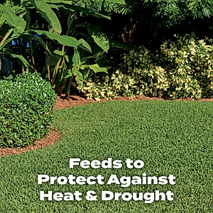 Scotts Turf Builder Southern Lawn Fertilizer for Southern Grass, 10,000 sq. ft., 28.12 lbs.