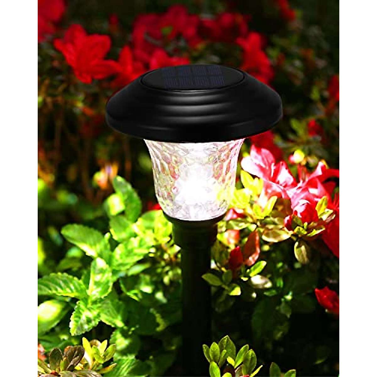 UFOND 8 Pack Solar Pathway Lights Outdoor，Waterproof Solar Garden Lights, Glass Stainless Steel Solar Decor Lamp,Landscape Path Lights for Yard Patio Driveway Sidewalk, (Cool White)