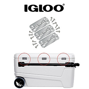 Igloo Cooler Heavy Duty Stainless Steel Hinges for Ice Chests (Set of 3)