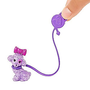 Mattel - Barbie Color Reveal Pets Glitter Series, One Surprise Color Reveal with Each Transaction