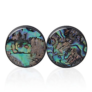 2 PCS Gauge Ear Plugs Piercing Jewelry Set Double Flare Saddle Stretching Gages Tunnels Expander (AG-3/4"(20mm))