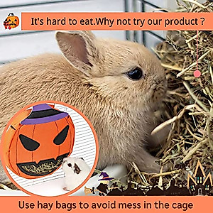 JanYoo Rabbit Hay Feeder Halloween Guinea Pig Accessories Hay Bag Hanging Rack for Small Animal Chinchilla(Pumpkin)