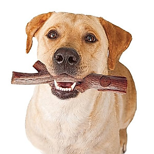 SPOT Bam-bones PLUS Branch -Bamboo Fiber & Nylon, Durable Long Lasting Dog Chew for Aggressive Chewers – Great Toy for Adult Dogs & Teething Puppies under 90lbs, Non-Splintering, 9.5in, Beef Flavor