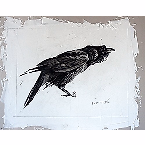 Turning into the crow and back 7