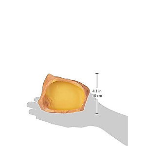 Exo Terra Water Dish, Medium