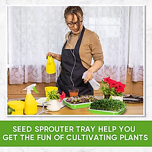 Eaasty 16 Pcs Seed Sprouter Tray with Drain Holes Seed Germination Propagation Trays Healthy Wheatgrass Microgreens Growing Trays Beans Nursery Sprouting Tray(12.2 x 9.06 x 1.77 Inch, Without Lid)