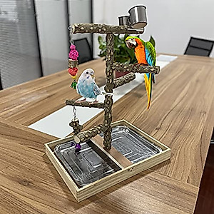 Tfwadmx Bird Perch Natural Wood Stand Toy Parrot Play Stand Platform Bird Cage Branch Perch Accessories for Parakeets Canaries Cockatiels Conure Lovebirds