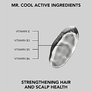Hair Situation Mr. Cool Wet Look Hair Gel - Strong Hold, High Shine, Alcohol-Free, Clear Styling Formula, Anti-Humidity Frizz Control, Non-Flaking, Non-Greasy, Long-Lasting for All Hair Types 8 Fl Oz