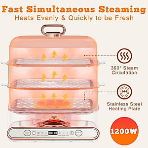 Veroline Electric Food Steamer for Cooking, 15QT Vegetable Steamer with 3-Tier Stainless Steel Trays, 1200W Electric Steamer for Fast Simultaneous Cooking, 24H Delay Start, Auto Shut-Off, BPA-Free