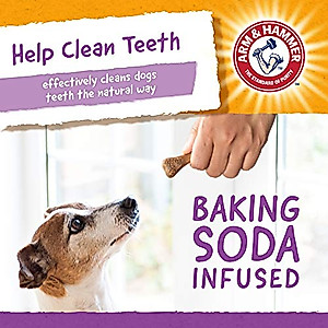 Arm & Hammer For Pets Nubbies Dental Treats for Dogs | Dental Chews Fight Bad Breath, Plaque & Tartar without Brushing | Baking Soda Enhanced Chicken Flavor Dog Treats, 20 Pcs (Packaging may vary)