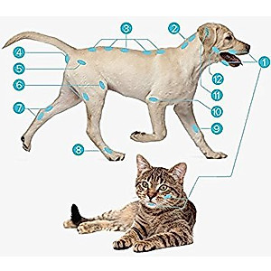 B-Cure Cold Laser Therapy Device for Dogs, Cold Vet Device for Pets & Infrared Light Therapy for Pain Relief, Muscle & Joint Pain, Suitable for Dogs, Cats, Horses and Other Animals