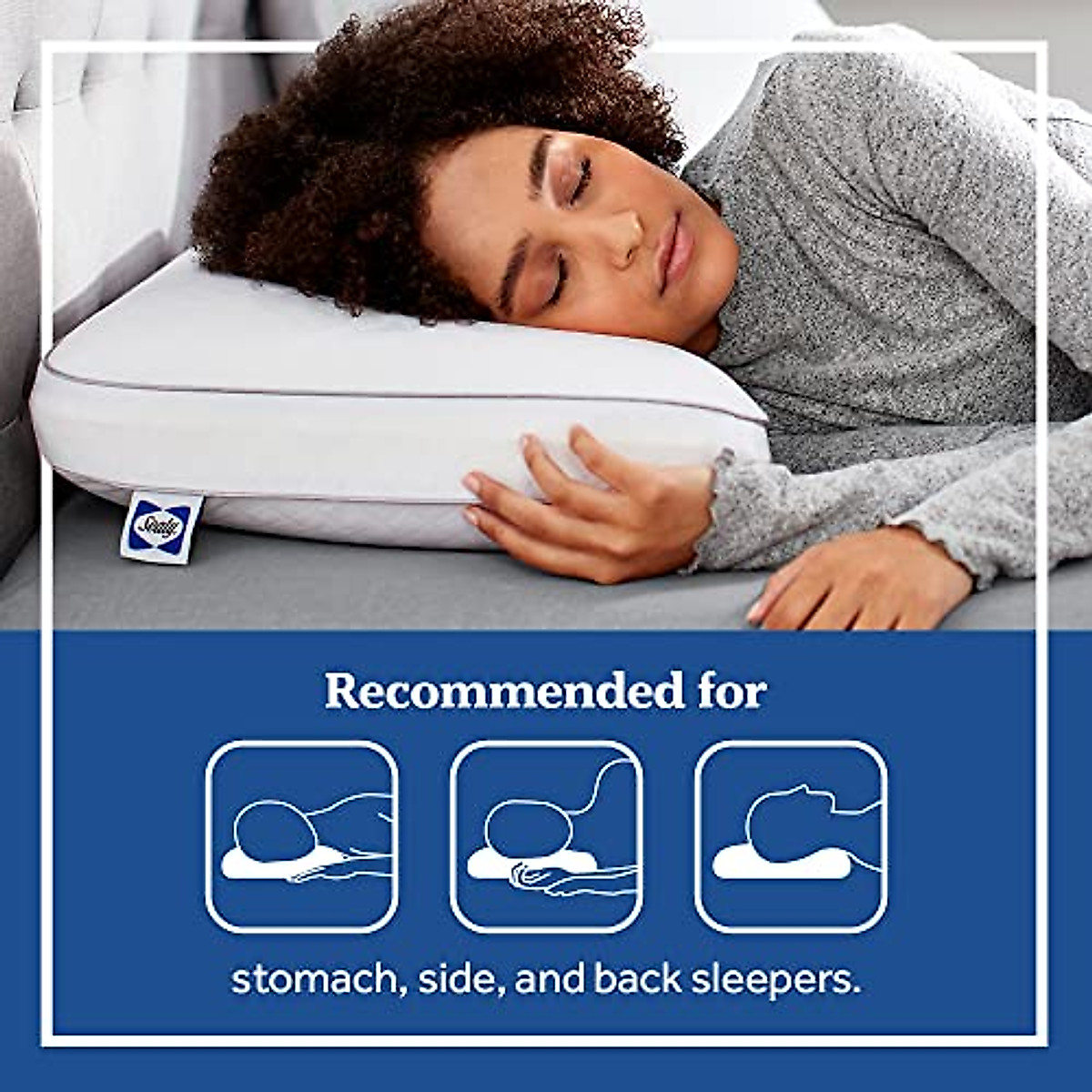 Sealy Essentials Pillow, Standard, White 2 Count