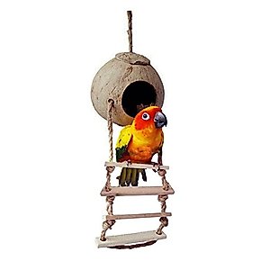 Natural Coconut Hideaway Birds Toys Decorative Bird Nest Cage House with Ladder