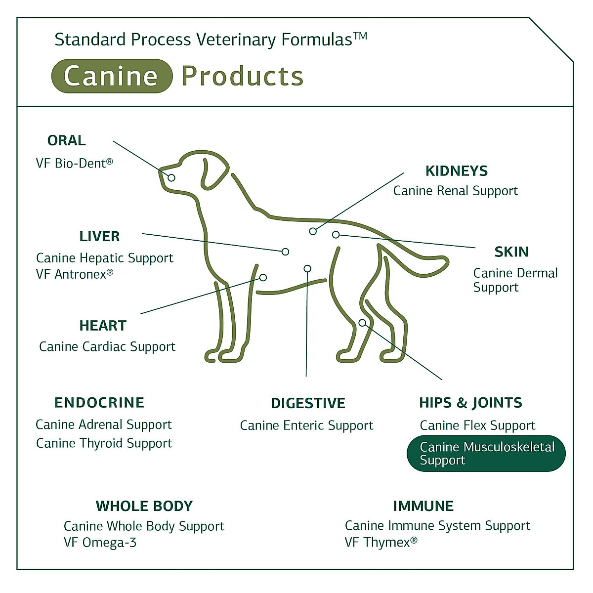 Standard Process Canine Musculoskeletal Support - Bone & Joint Health Formula for Pets - Canine Musculoskeletal Support Supplement - Supplement for Dogs to Aid Joint Comfort & Muscle Health - 120 g