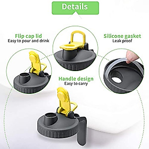 COKPAPA Coffee Strainer Stainless Steel Mesh Filter- 2 Quart (64 oz)- 2pcs Wide Mouth Flip Cap Lid with Handle for Ball Mason Jar, Suitable for Cold Brew, Lemonade, Iced Tea and Iced Coffee