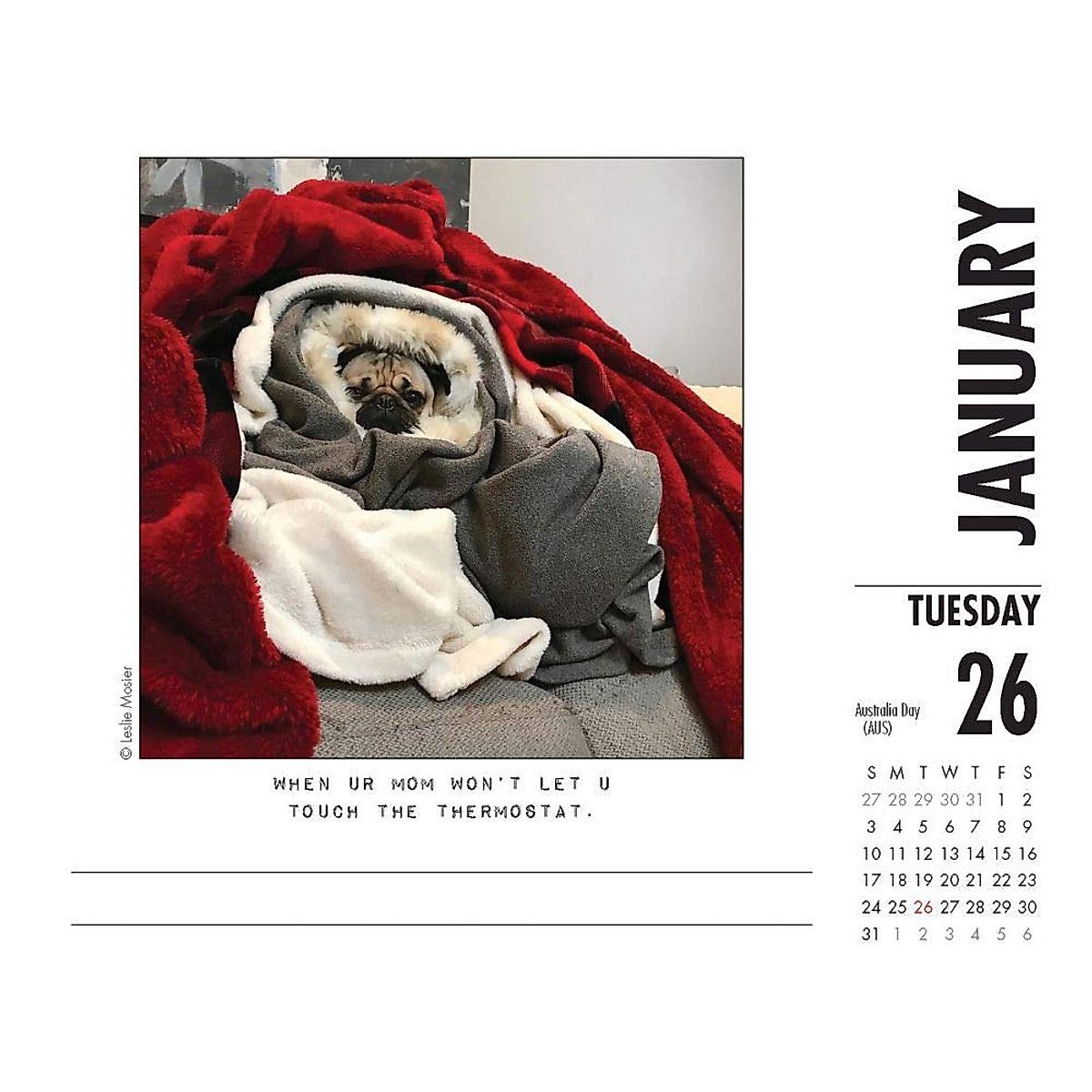 Doug the Pug 2021 Box Calendar (Dog Breed Calendar)