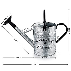Garutom Galvanized Watering Can for Outdoor Plants, 1 Gallon Decorative Countryside Style Watering Can with Removable Spout, Perfect Metal Watering Can for Indoor Plants and Garden Flower
