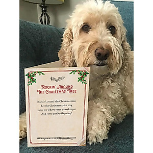 Brainbox Candy - Rude Christmas Card - 'Rockin Around The Christmas Tree' - Cheeky Xmas Songs | Carols - Funny Festive Seasonal Humour Cards - For Him Her Men Woman Friends - Merry Christmas