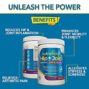 NUTRACHEWZ Grain Free Hip & Joint Supplement for Dogs with Organic Hemp Oil, Glucosamine Chondroitin, Turmeric, MSM, Green Lipped Mussel for Arthritis, Pain Relief, Mobility All Natural - 120 Chews