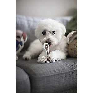 ONTWOPETS 2in 1 Dog Chew Toys for Aggressive Chewers - Nylon Dog Chew Toy with Edible Treat Layer (Bone_New, Large)