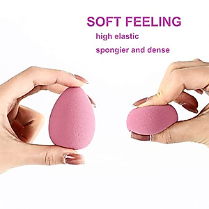 Makeup Sponge 3pcs Makeup Sponges for Foundation Blending Sponges for Makeup Sponge Beauty Blender Sponge Pink Latex Free and Vegan Make up Sponges for Face with a Storage Case (3, Pink)
