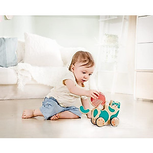 Hape Wooden Walk-A-Long Kitten Pull Toy| Roll & Rattle Push Pull Toy for Toddler| Montessori Toys for Walking Toddlers, Green