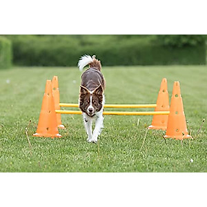 TRIXIE Dog Agility Hurdle Cone Set, Portable Canine Agility Training Set, 6 Exercise Cones with 3 Agility Rods