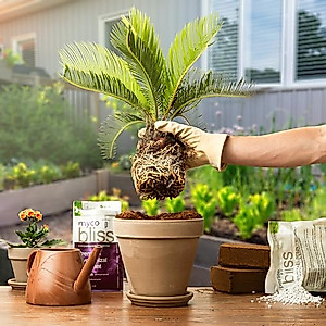 Myco Bliss Powder (2lbs) - 5 Strain Mycorrhizal Inoculant with 1,000 Propagules per Gram - Highly Concentrated Mycorrhizae for Plants, Potting Soil, Indoor Plants, Outdoor Plants, & Houseplants