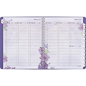 AT-A-GLANCE 2022 Weekly & Monthly Appointment Book & Planner by AT-A-GLANCE, 8-1/2" x 11", Large, Beautiful Day, Lavender (938P-905)