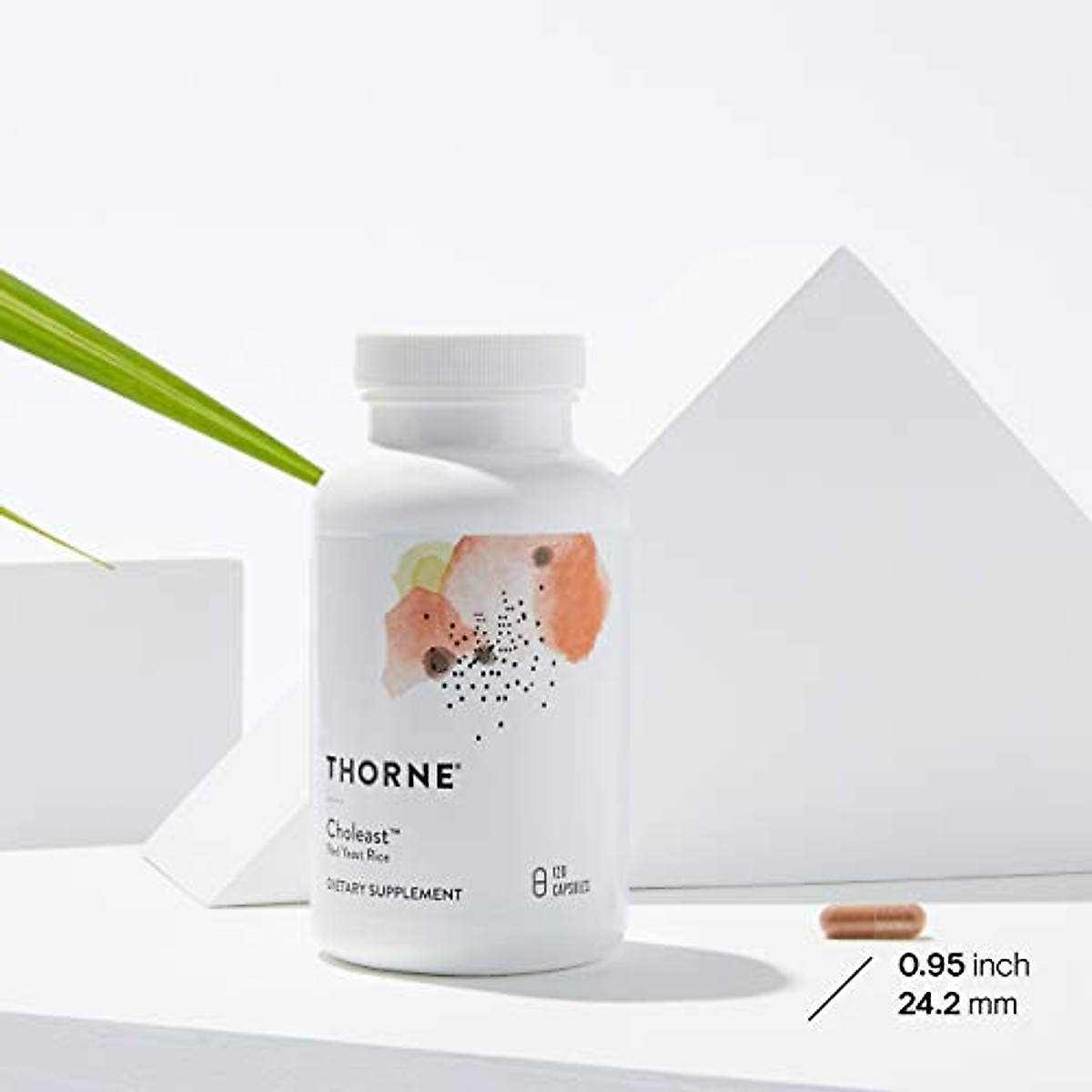 Thorne Red Yeast Rice + CoQ10 - Maintain Healthy Cholesterol Levels and Supports Cardiovascular Health - Gluten-Free, Dairy-Free - 120 Capsules