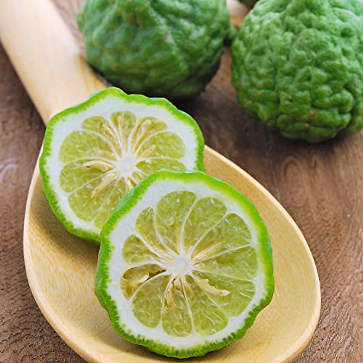 QAUZUY GARDEN 3 Makrut Kaffir Lime Seeds (Citrus Hystrix) - Fragrant Edible Leaves - Perennial Tropical Exotic Fruit Tree - Great for Container Pot - Easy to Grow