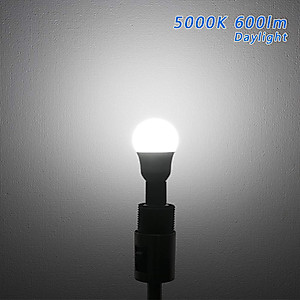 FAGUANGAO E17 Intermediate Base LED G14 Bulbs, 6W 60W Equivalent, 5000K Daylight, 600LM,Globe Light Bulbs for Ceiling Fan, Chandelier Lighting, Not Dimmable, Pack of 4