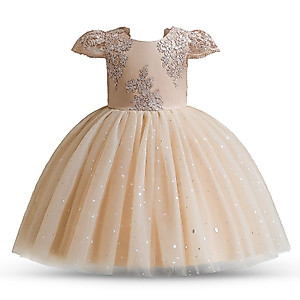 NNJXD Baby Girl Lace Princess Dress Pageant Party Bowknot Toddler Girls Ball Gown 2007 Yellow Size(110) 3-4 Years