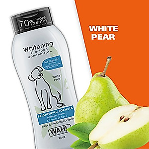 Wahl Whitening Shampoo White Pear scent for Pets – Whitening & Animal Odor Control with Silky Smooth Results for Grooming Dirty Dogs – 24 oz - Model 820001A