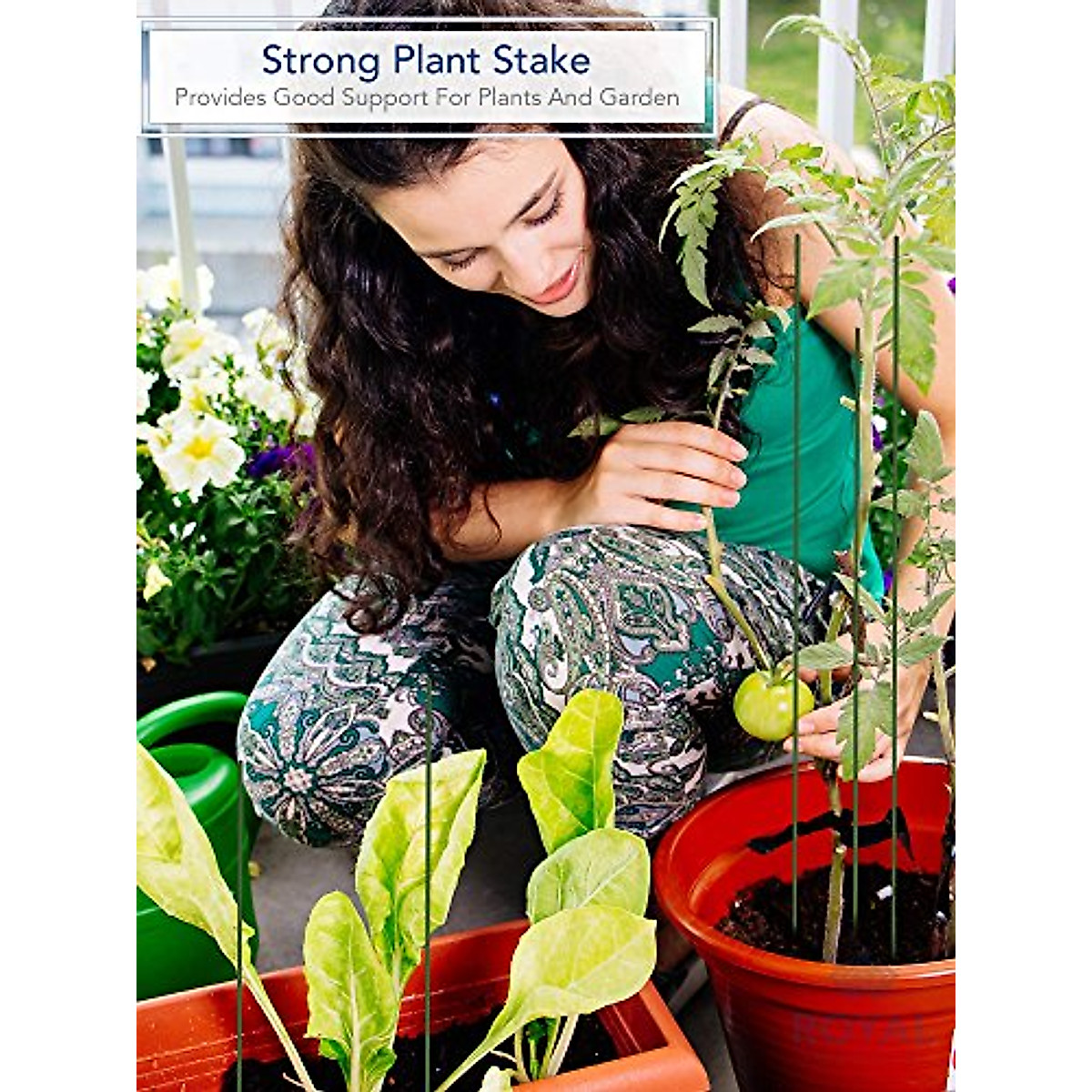 24" Green Wood Plant Stake, Floral Picks, Wooden Sign Posting Garden Sticks (25 Pcs) by Royal Imports