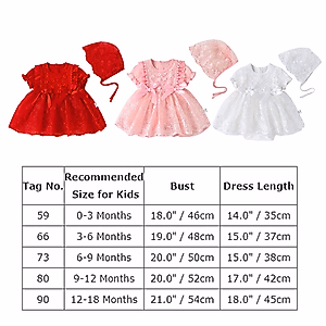 Toddler Baby Flower Girls Lace Dress First Birthday Wedding Baptism Christening Dresses Infant Princess Pageant Communion Gown with Hat Long Sleeve Fall Dress Outfits Pink Lace 0-3 Months