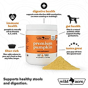 Wild Acre Pumpkin Powder for Dogs - No More Diarrhea or Scoots! - Digestive Puree Treat or Food Topper - Fiber Supplement for Dogs with Prebiotics Pumpkin for Dogs, 8oz