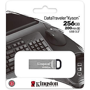 Kingston 256GB USB Flash Drive Kyson DataTraveler (Bulk 2 Pack) USB 3.2 Type-A Drive 200MB/s High Speed PenDrive for Computer or Laptop (DTKN/256GB) Bundle with (1) Everything But Stromboli Lanyard