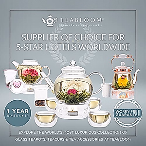 Teabloom 2-in-1 Tea Kettle and Tea Steeper - Glass Teapot with Thermometer and Stainless Steel Loose leaf Tea Infuser, No Whistle Kettles, Virtuoso 34-Ounce Tea Maker