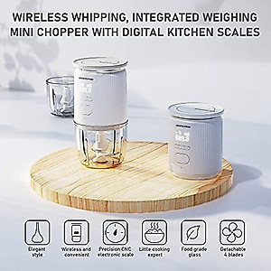 Baby Food Maker | Baby Food Processor with Kitchen Scale, Wireless Portable Food Chopper Electric, Suitable for Meat, Vegetables, Fruits, Spices, Baby Food (300ML)