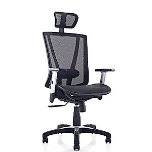 Ergomax MSH112BK Ergonomic Adjustable Home Office All Mesh Desk, Lumbar Support & Back Relief Breathable Chair, 53 inch Max Height, Black