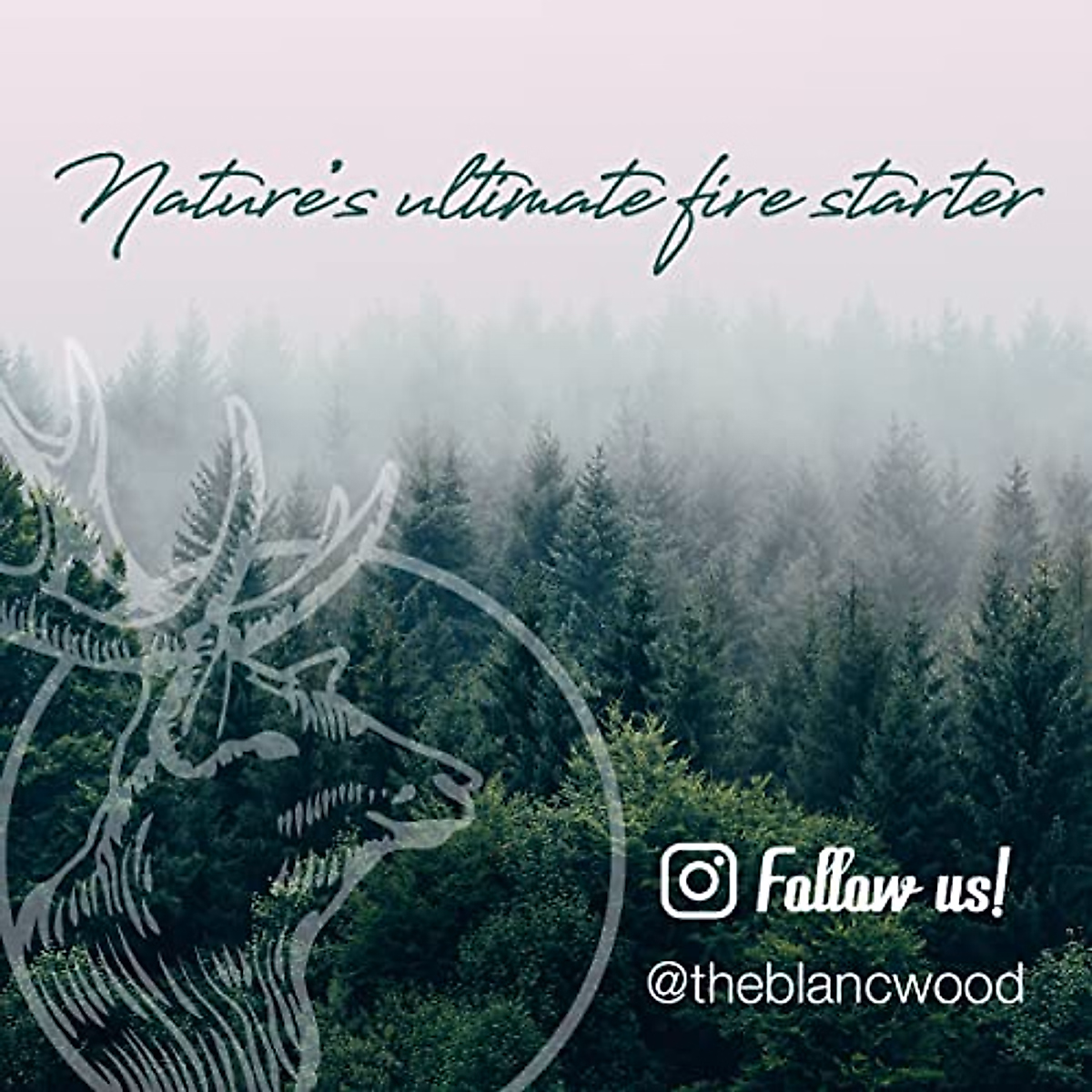 The Blanc Wood Fatwood Sticks | Natural & Waterproof fire Starter | Fire Starter for Grills, stoves, fireplaces, and Bonfires | Light Strong, Long-Lasting Fires | 10 Lbs Box