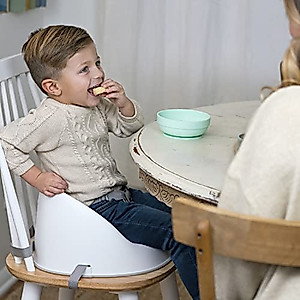 Ity by Ingenuity Simplicity Seat Easy-Clean Baby Booster Feeding Chair – Oat