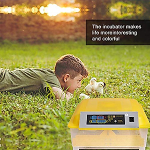 Egg Incubator 48 Eggs Fully Automatic Digital Poultry Incubator with Fahrenheit Temperature and Auto Turning for Hatching Chicken Duck Goose Quail Bird, Egg Hatcher Breeder Incubator Gift Set for Kids