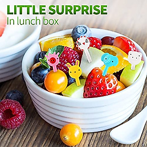 126 Pcs Animal Food Picks for Kids, Fun Cartoon Animal Bento Picks, Bento Box Fruit Picks, Lunch Bento Box Picks for Toddler,Kids Lunch Accessories Decorations