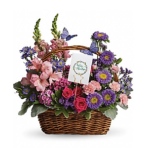 Litoexpe 30 Pieces Metal Wire Floral Picks, 13 Inch Golden Wire Photo Holder Birthday Card Holder Stand, Stars