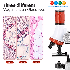 IQCREW ETXWJ04 100X-1200X LED Kids Beginner Microscope Toy Set + Slides Preparation Kit