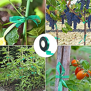 Unves 2 Pack Garden Tape Roll, 150 Ft Thick Reusable Green Plant Nursery Tape - 1/2" Wide Stretch Tie Tape Support for Indoor Outdoor Patio Plant, Tree, Branches, Climbing Flowers, Vegetables