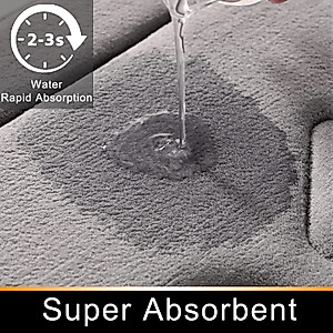 Memory Foam Bath Mat Gray Bath Mats for Bathroom Non Slip Floor Rugs, Super Absorbent Bathmat Quick Dry, Machine Washable Bathroom Rug, Ultra Soft Coral Velvet Carpet for Shower,Tub 24"x36"