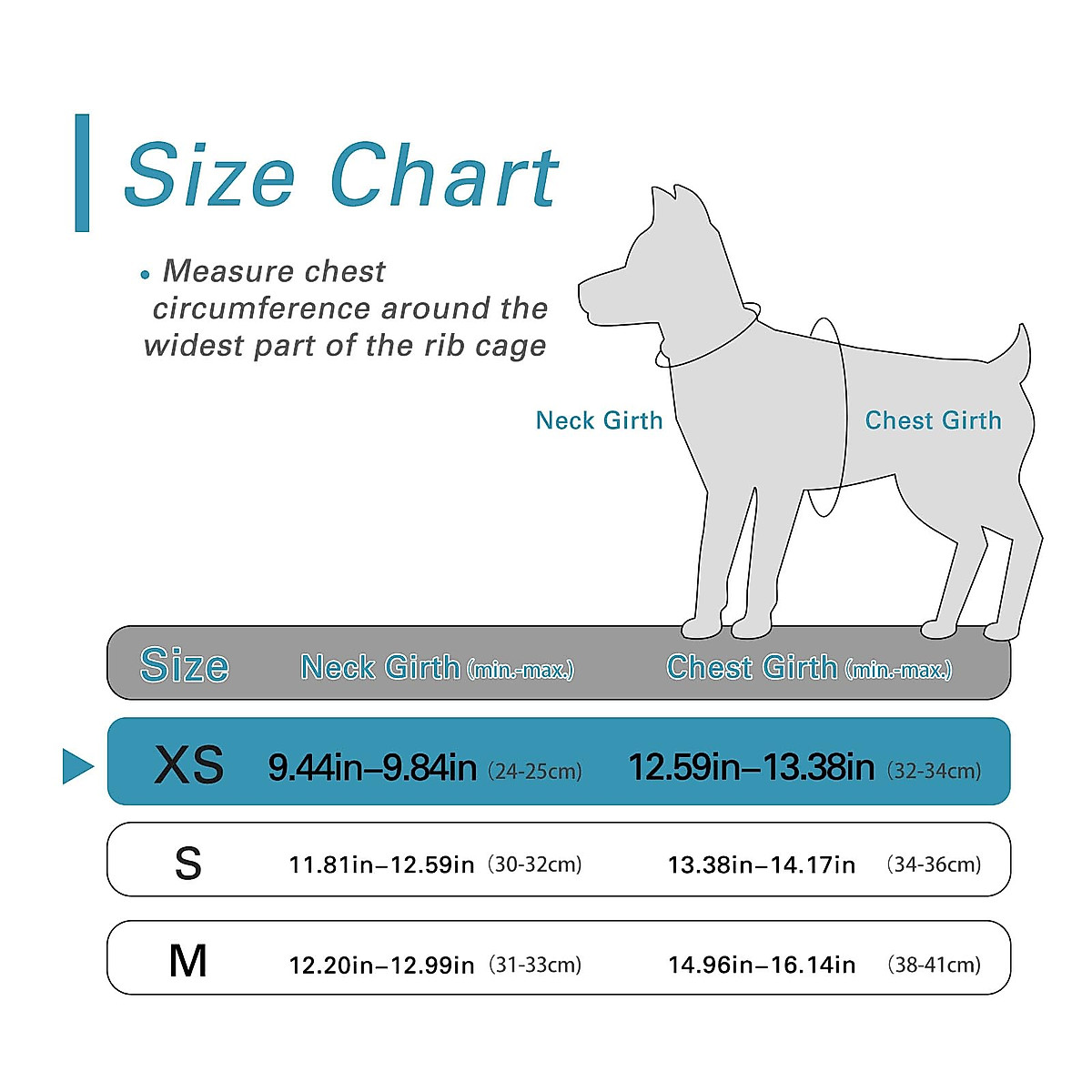 YIMEIS Dog Harness (XS, Blue) for Small Dogs, Lightweight Harness & Leash Set, Adjustable, Reflective, Breathable, 360°Visibility, Playful Style